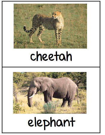 Alphabet Frieze - Classroom Display Cards - A to Z Teacher Stuff