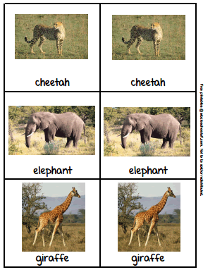 Cinco de Mayo / Mexico Vocabulary Cards - A to Z Teacher Stuff