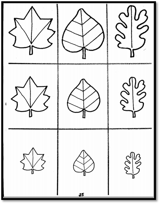 Fall Leaves and Fall Concentration - A to Z Teacher Stuff